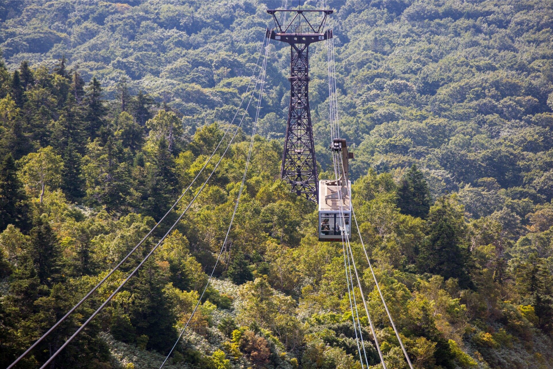 Summer in Japan: Things to Do, Weather, & What to Expect