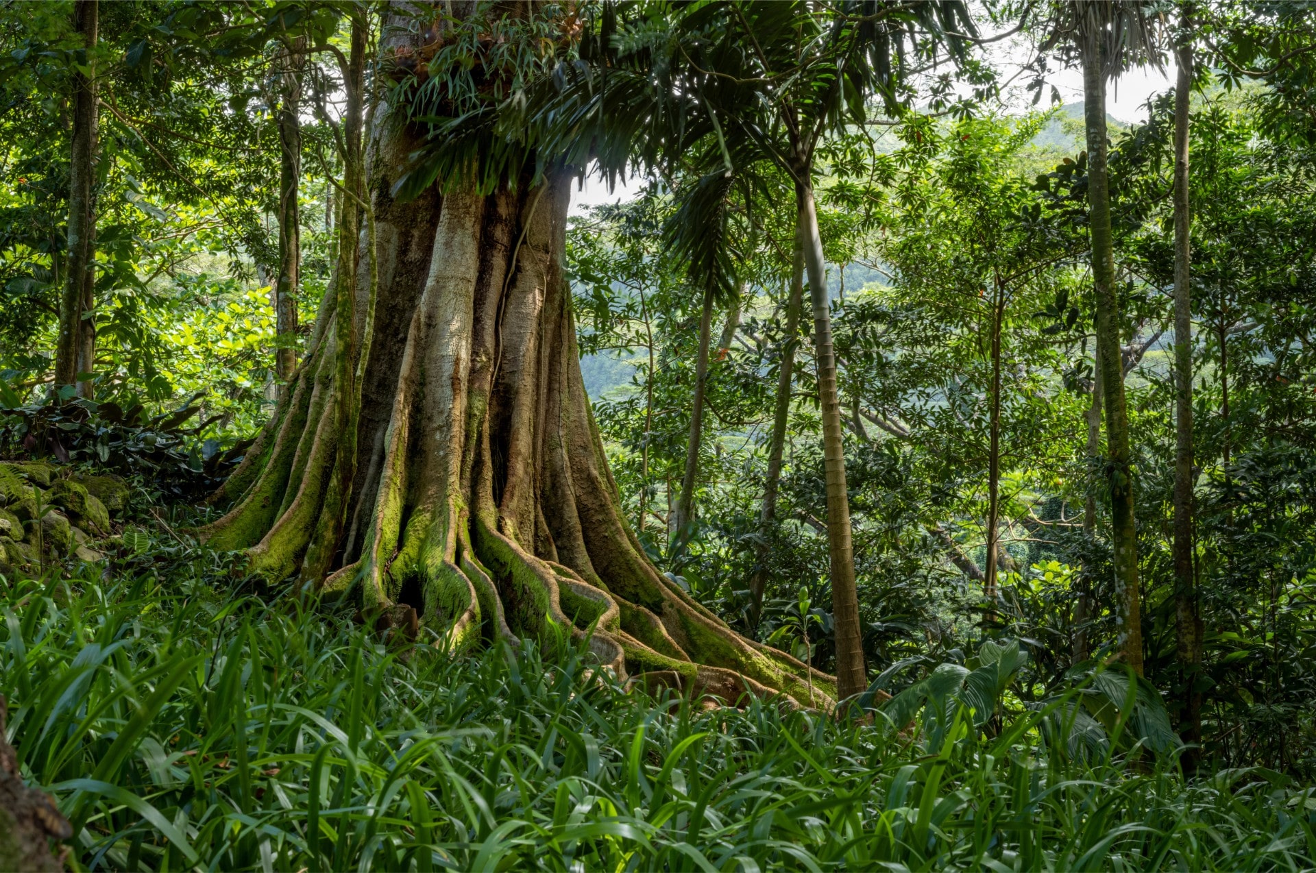 12 Best Things to Do in Oahu With Kids | Celebrity Cruises
