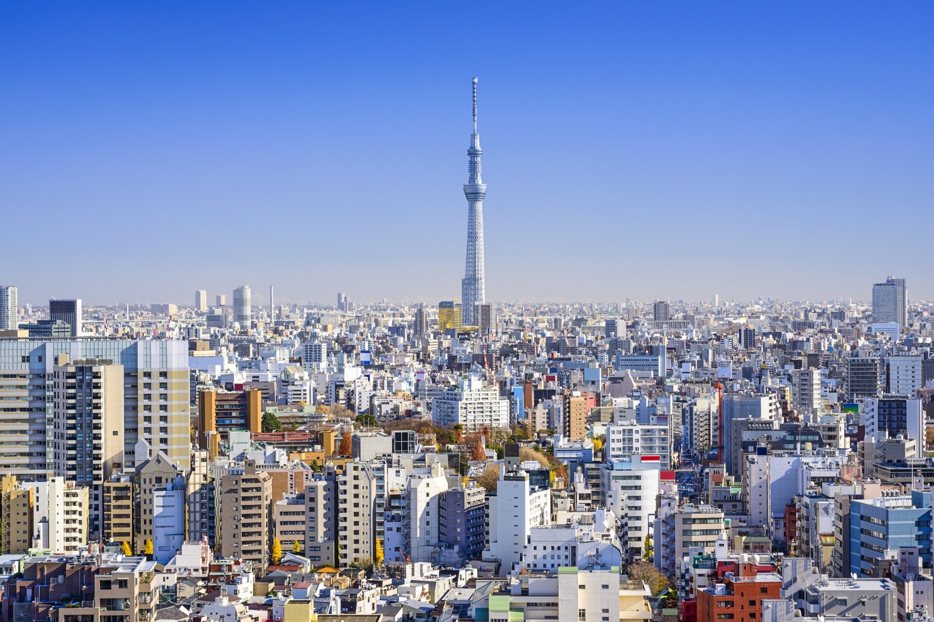 Tokyo in June: Things to Do, Weather, & What to Expect | Celebrity Cruises