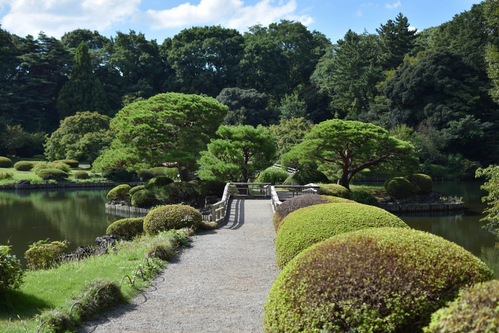 Tokyo in June: Things to Do, Weather, & What to Expect | Celebrity Cruises