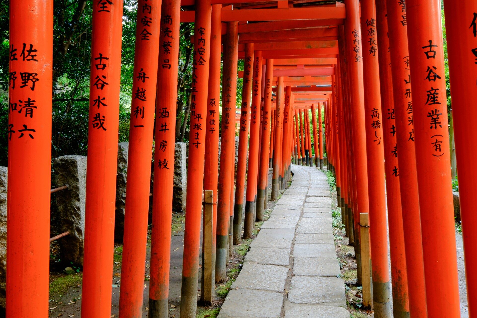 Tokyo in June: Things to Do, Weather, & What to Expect | Celebrity Cruises