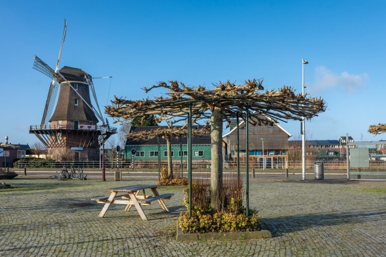 Amsterdam Windmills: Your Complete Guide to Holland’s Most Iconic ...