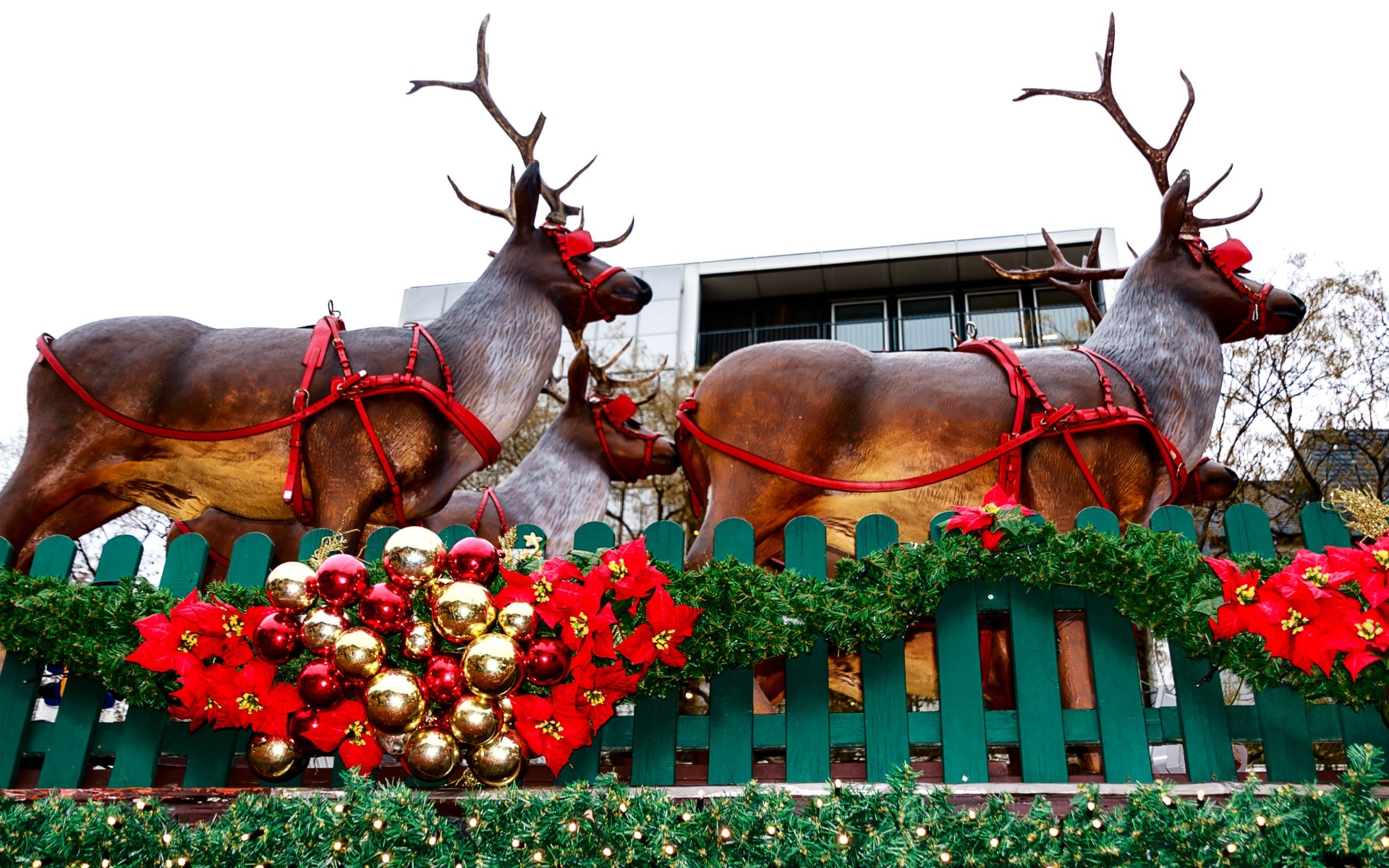 The Ultimate Guide to Cologne's Christmas Markets | Celebrity Cruises