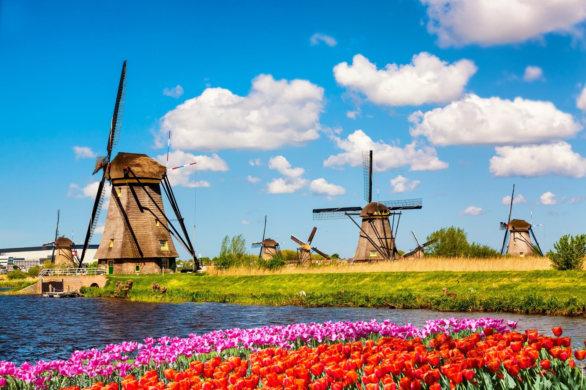 Iconic Dutch Windmills: Where to Find the Most Beautiful in the ...