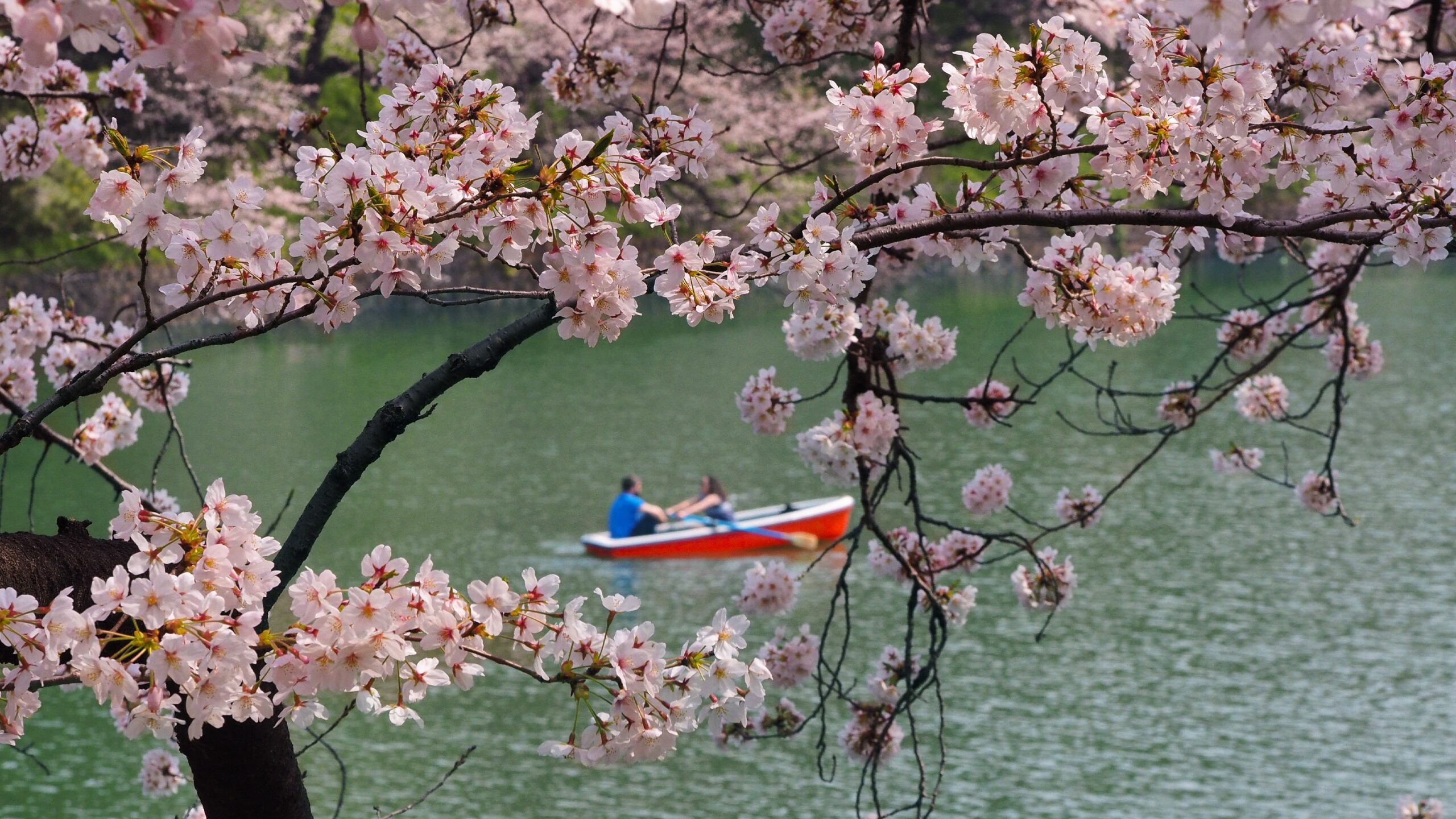 2027 Asia Cruises