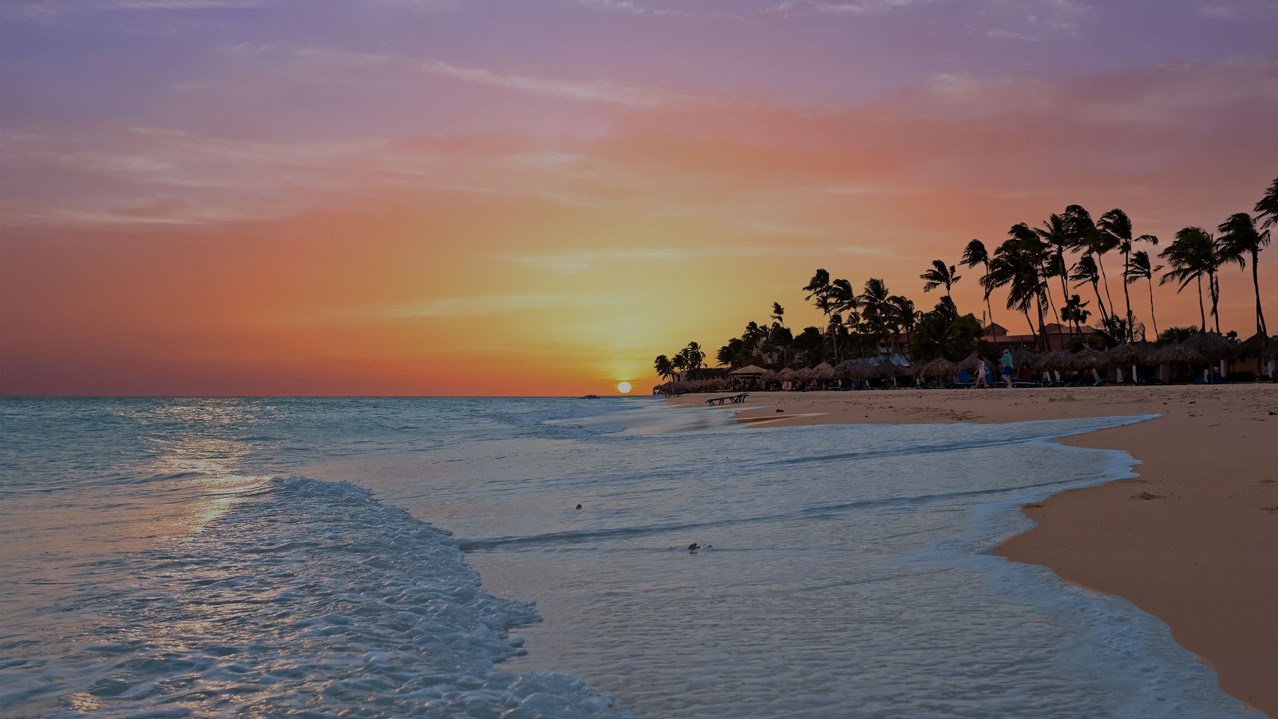 Travel Updates & Advisories | Celebrity Cruises