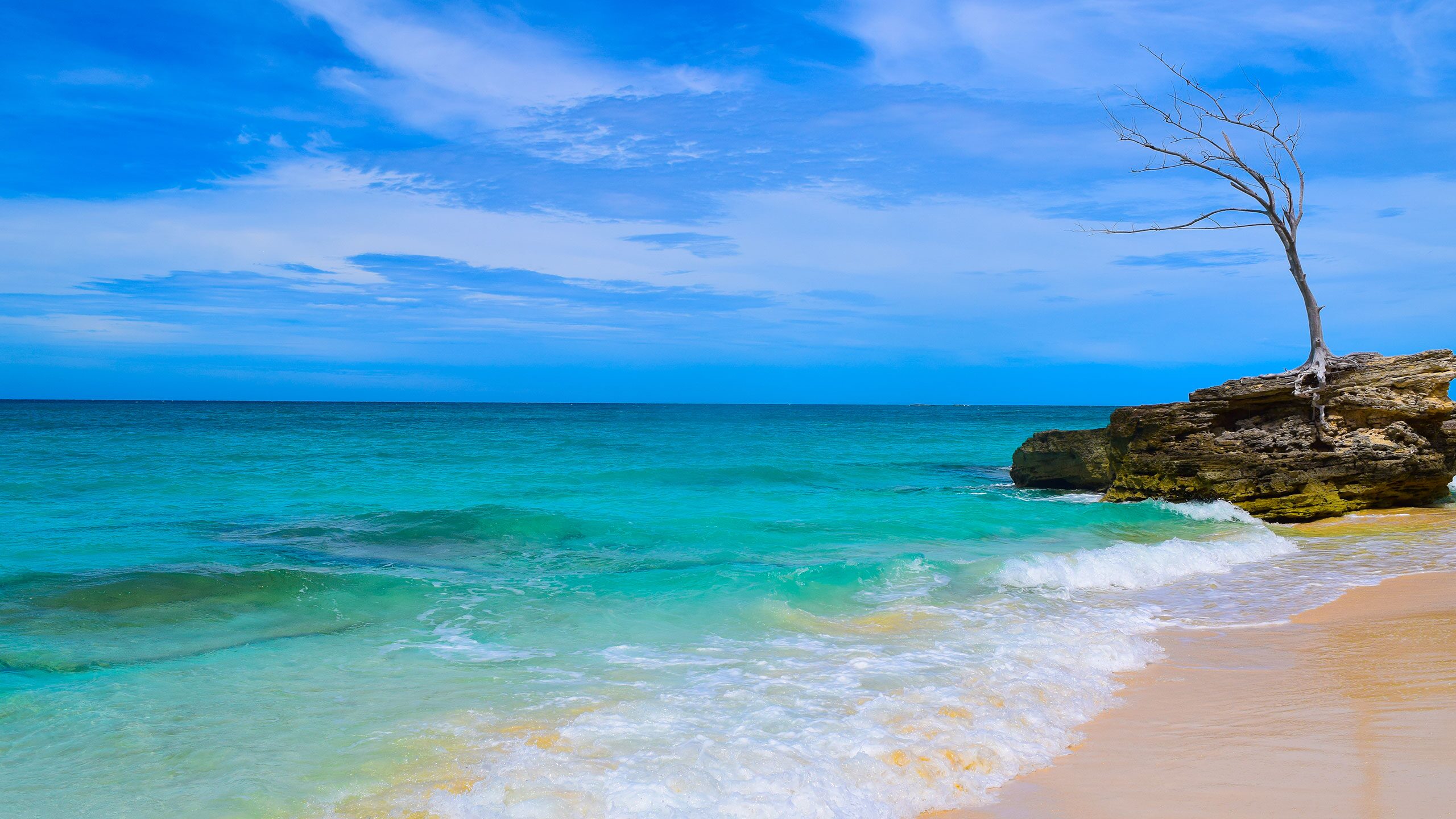 4 Nights Key West & Bahamas Cruise Cruise from Fort Lauderdale, Florida ...