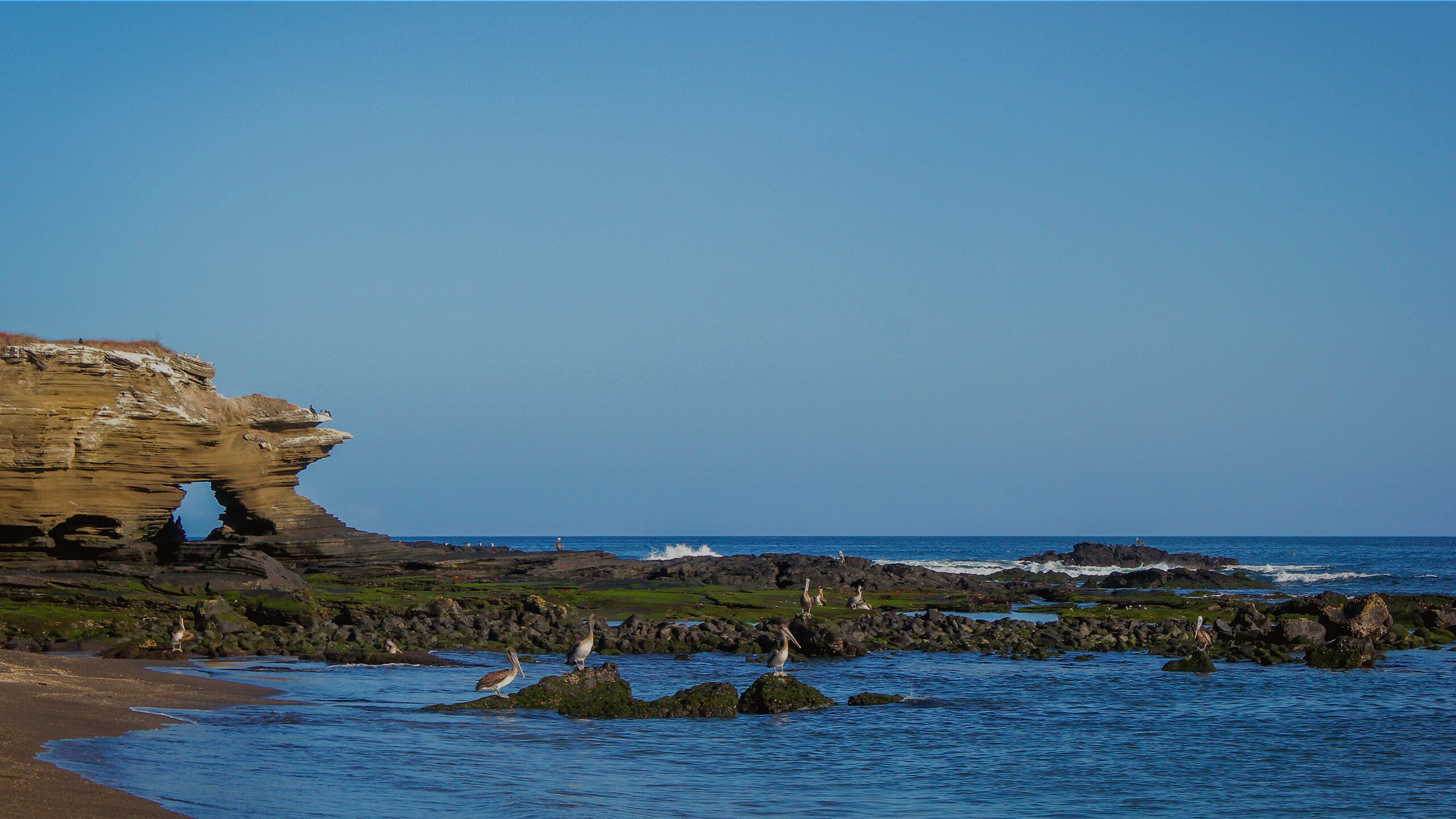 Xpedition Northern Loop Cruise with Quito, Ecuador | Celebrity Cruises ...