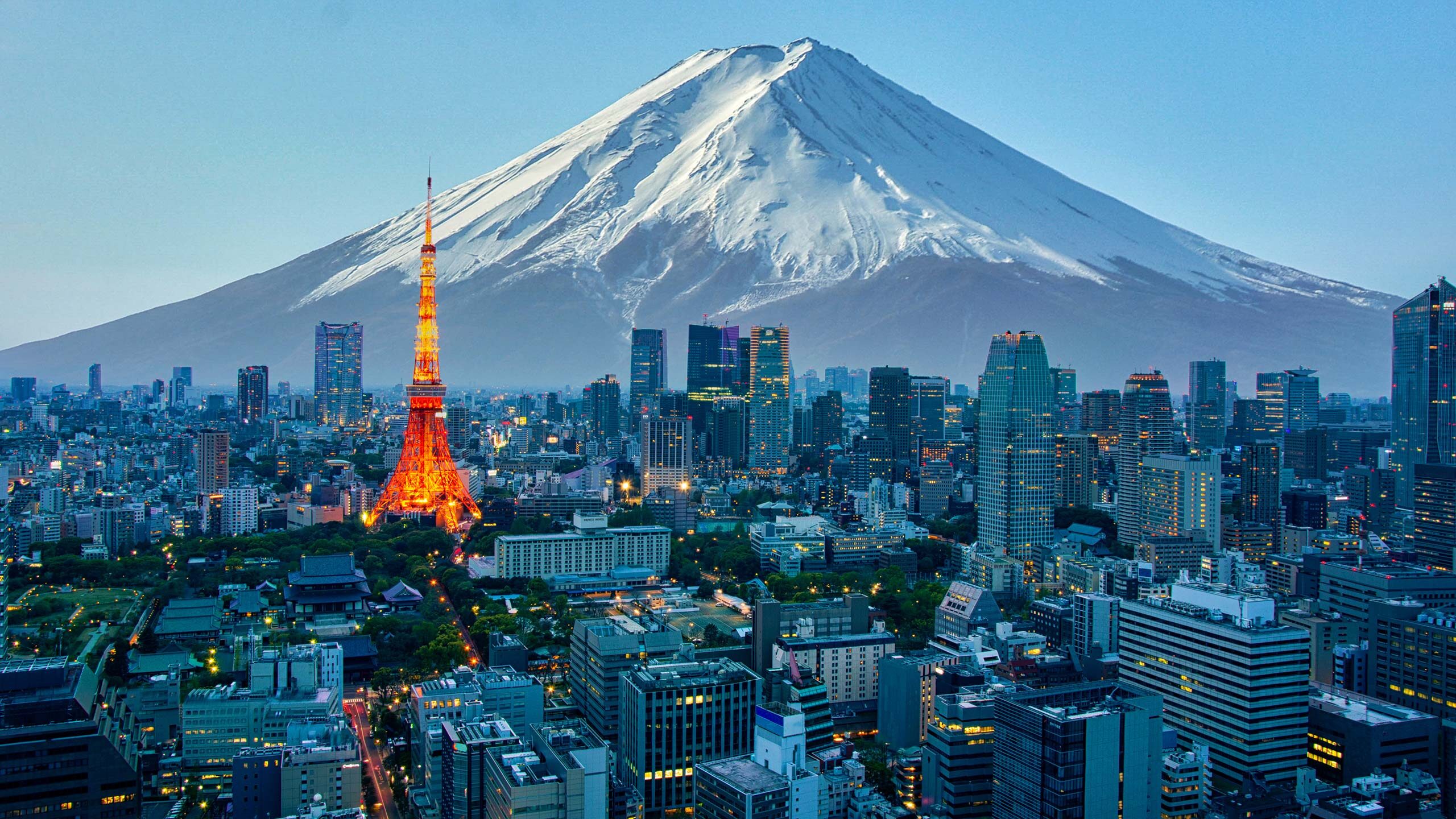 Destination Highlight Tokyo Half Day And Narita Airport Drop Off ...