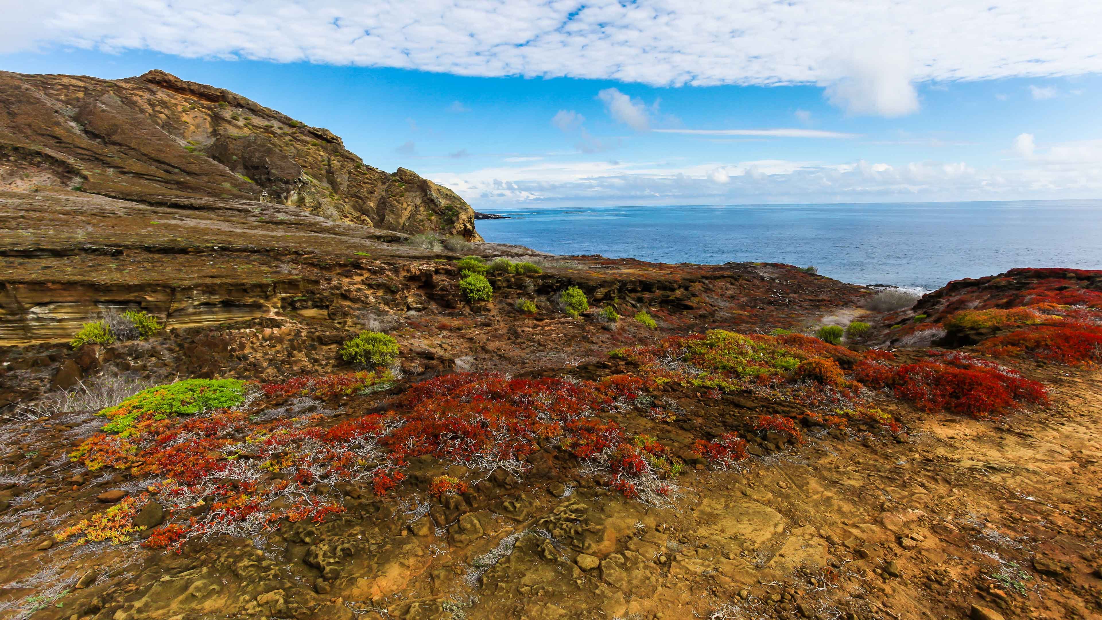 7 Nights Galapagos Inner Loop Cruise from Baltra (Galapagos ...