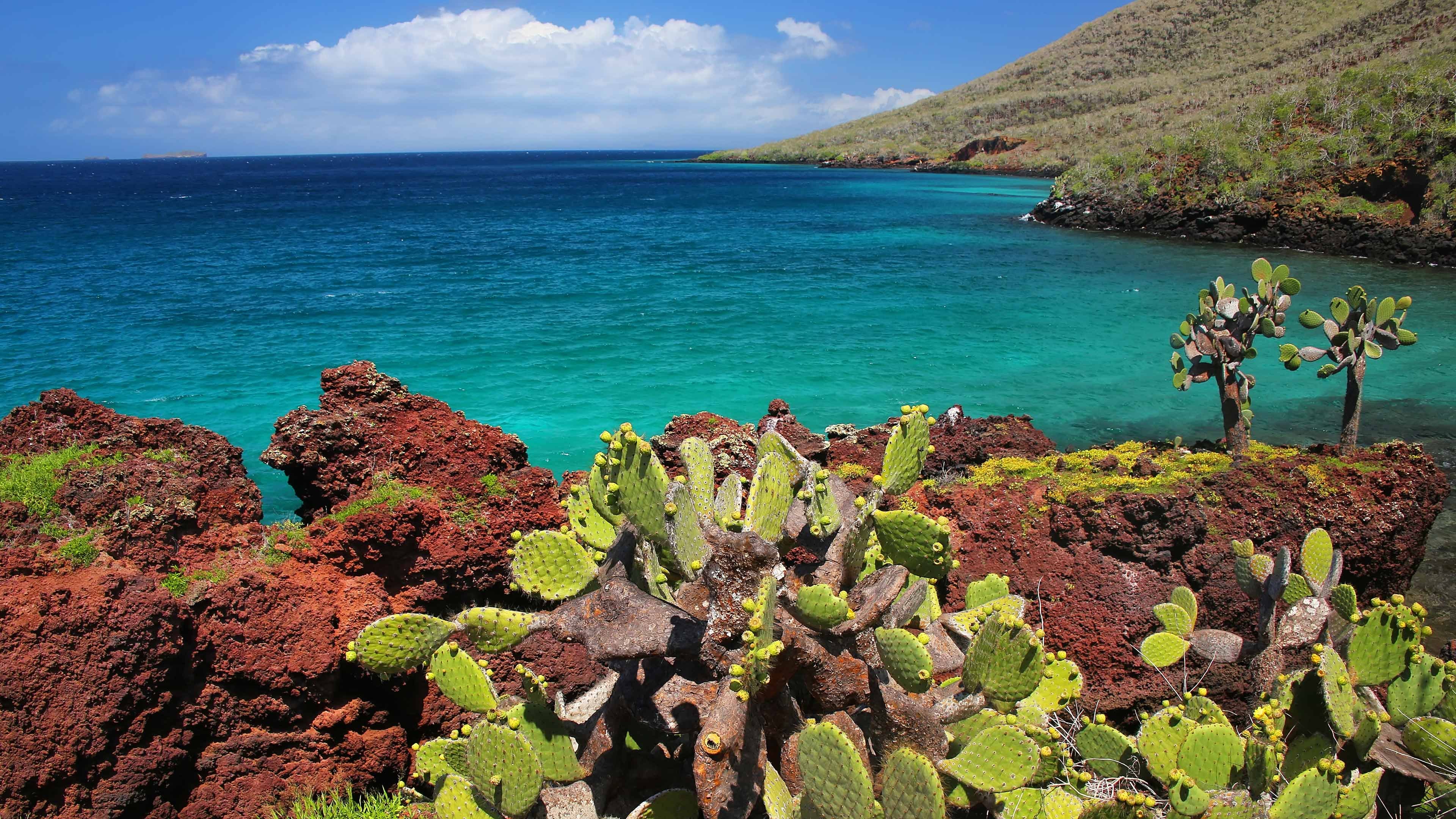 Cruise to Rabida, Ecuador | Galapagos Cruises