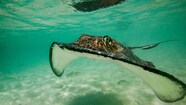 Cruise To Grand Turk Turks Caicos Caribbean Cruises
