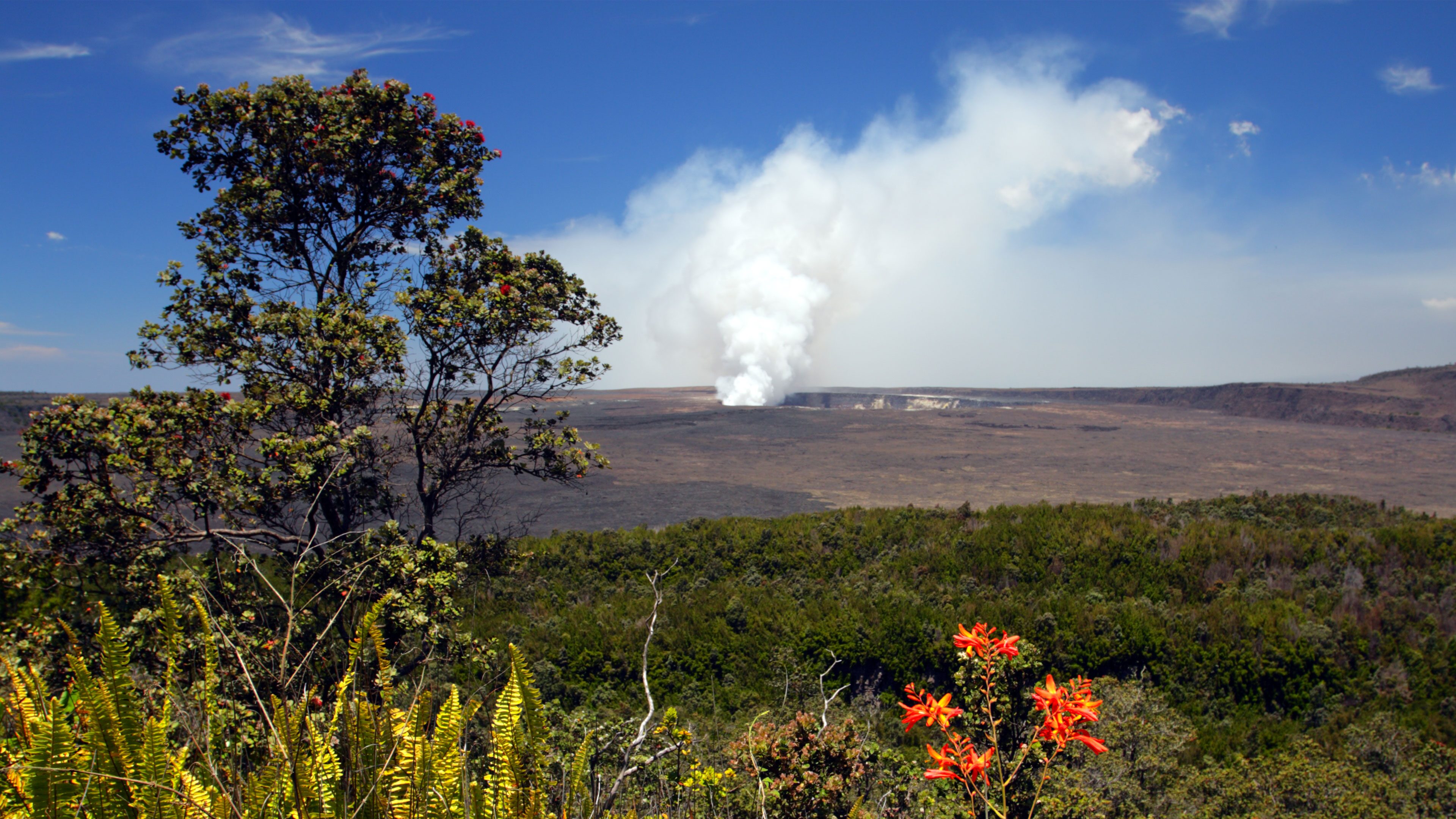 8 Nights Hawaii Cruise Cruise from Honolulu, Oahu, Hawaii | Celebrity ...