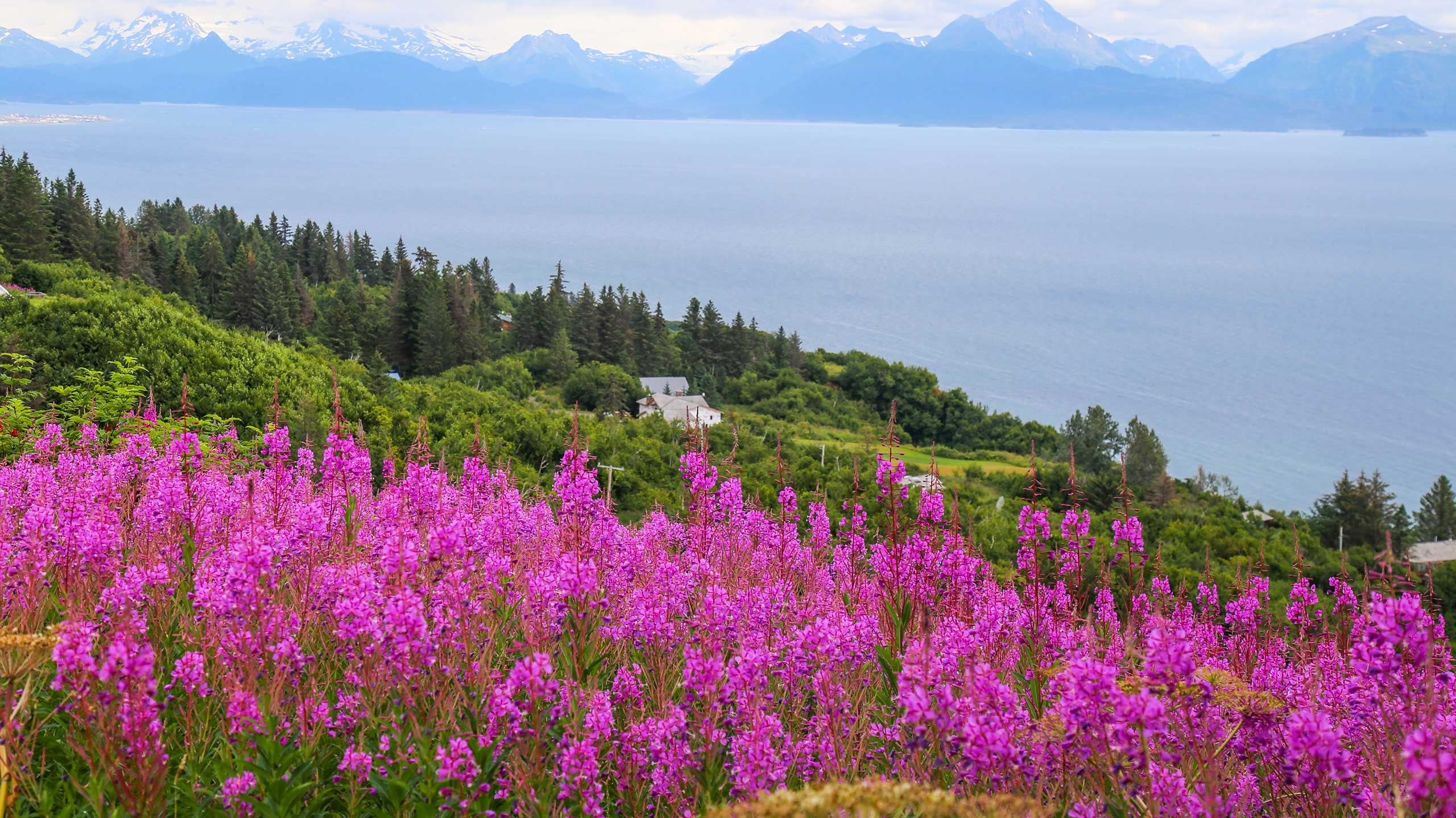 Homer Excursions & Activities on a Cruisetour | Celebrity Cruises