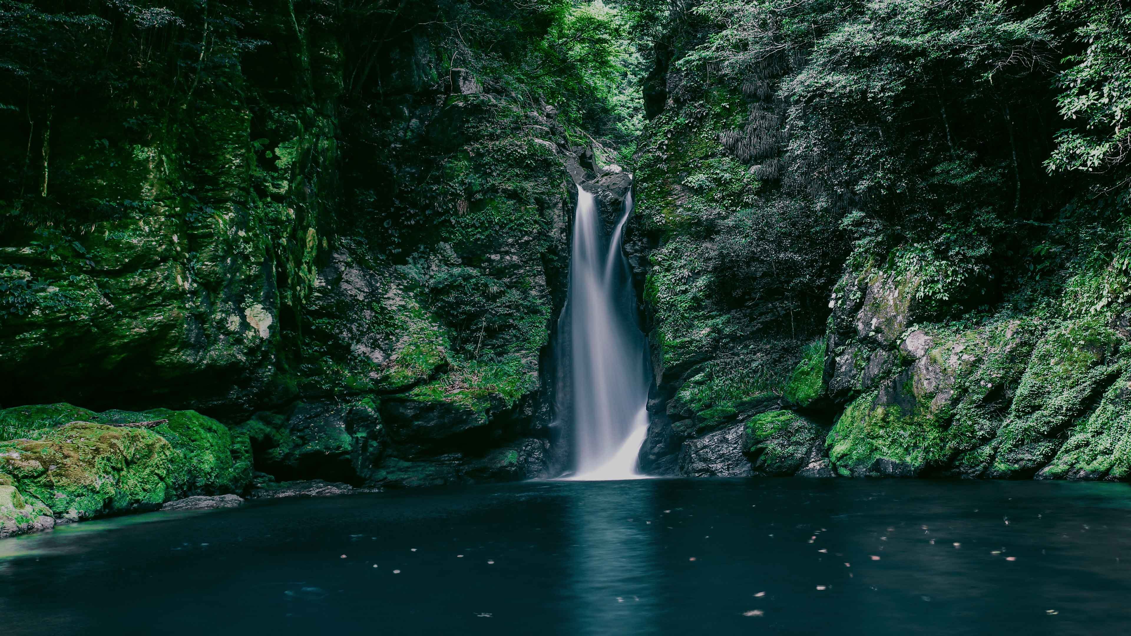 Kochi Shore Excursions & Cruise Excursions | Celebrity Cruises