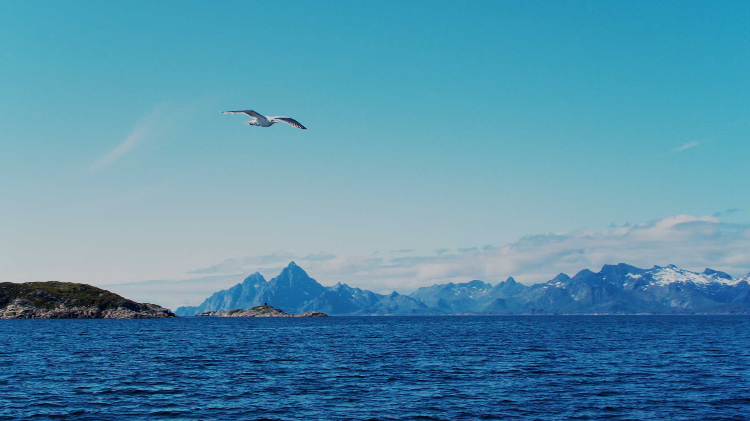 Best North Sea Cruises 2025 & 2026 | Celebrity Cruises