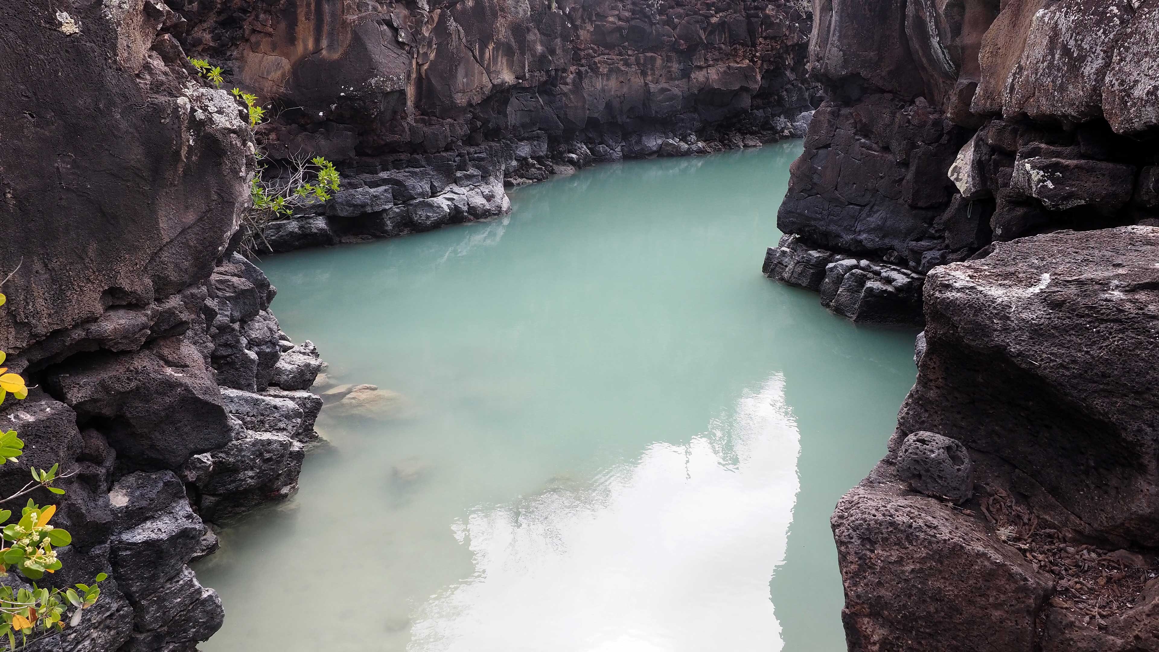 11 Nights Quito & Galapagos Southern Loop Cruise from Baltra (Galapagos ...