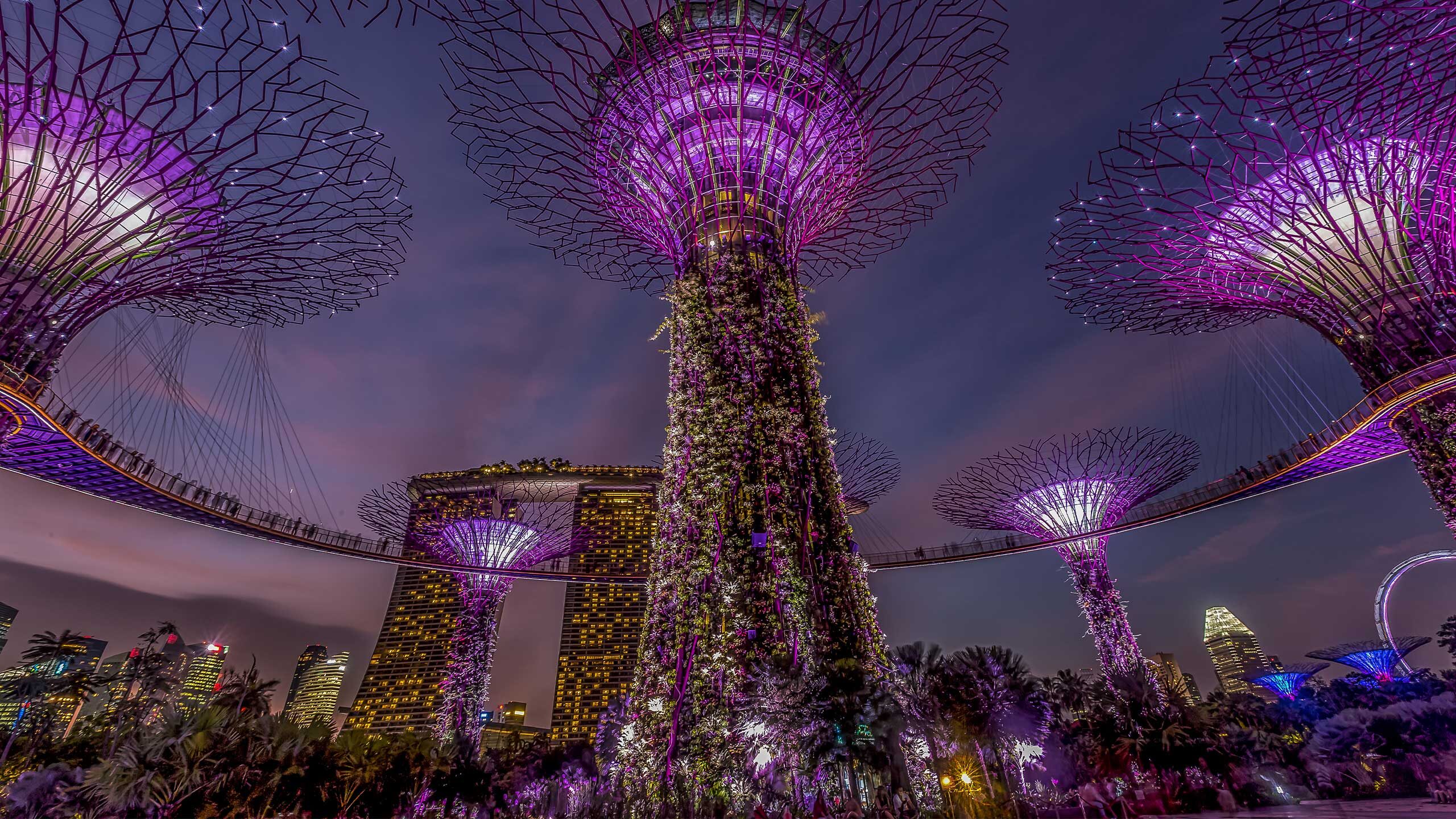 Cruises from Singapore: Best Singapore Cruises | Celebrity Cruises