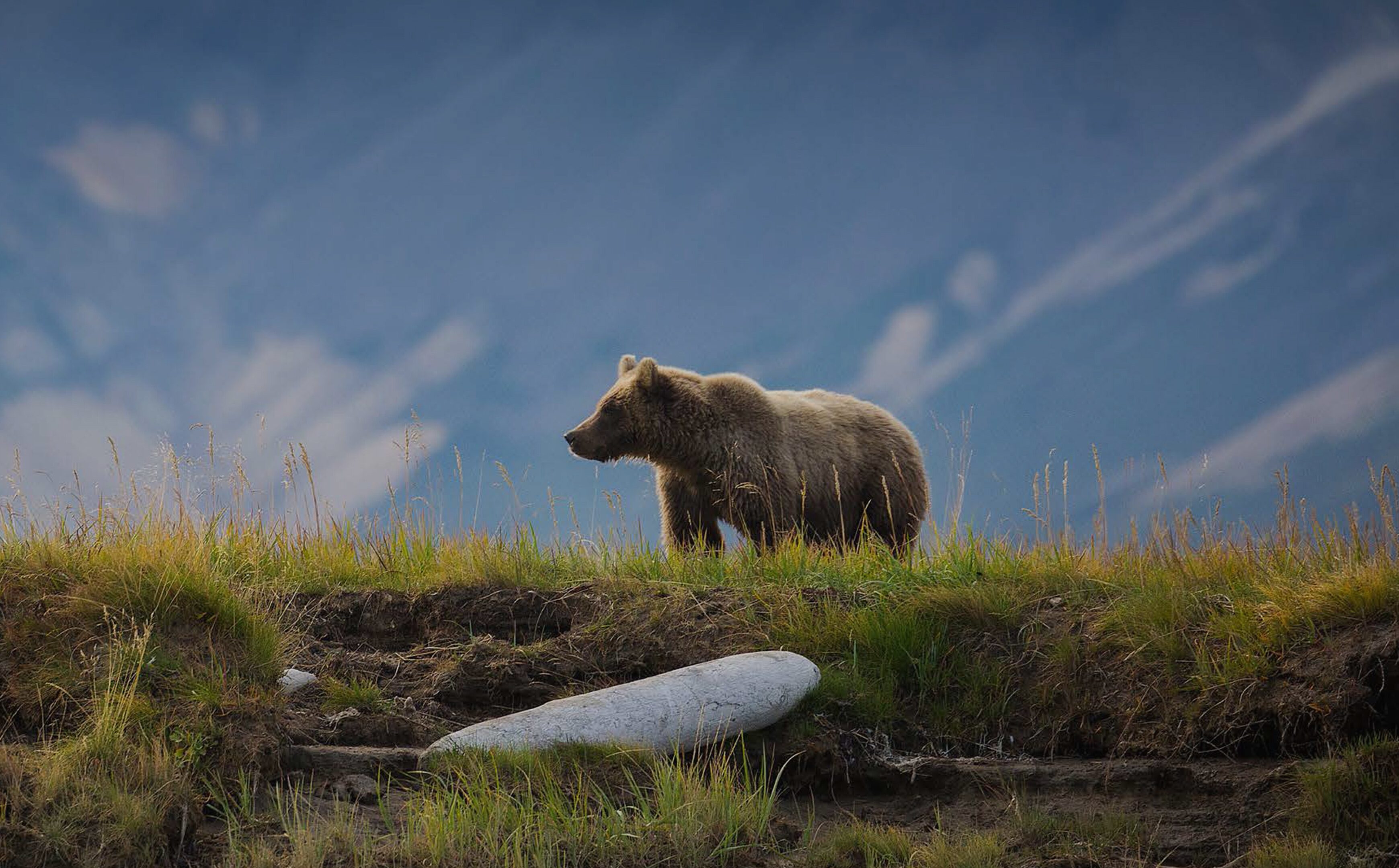 Resident Rate Cruise Deals & Discounts | Celebrity Cruises