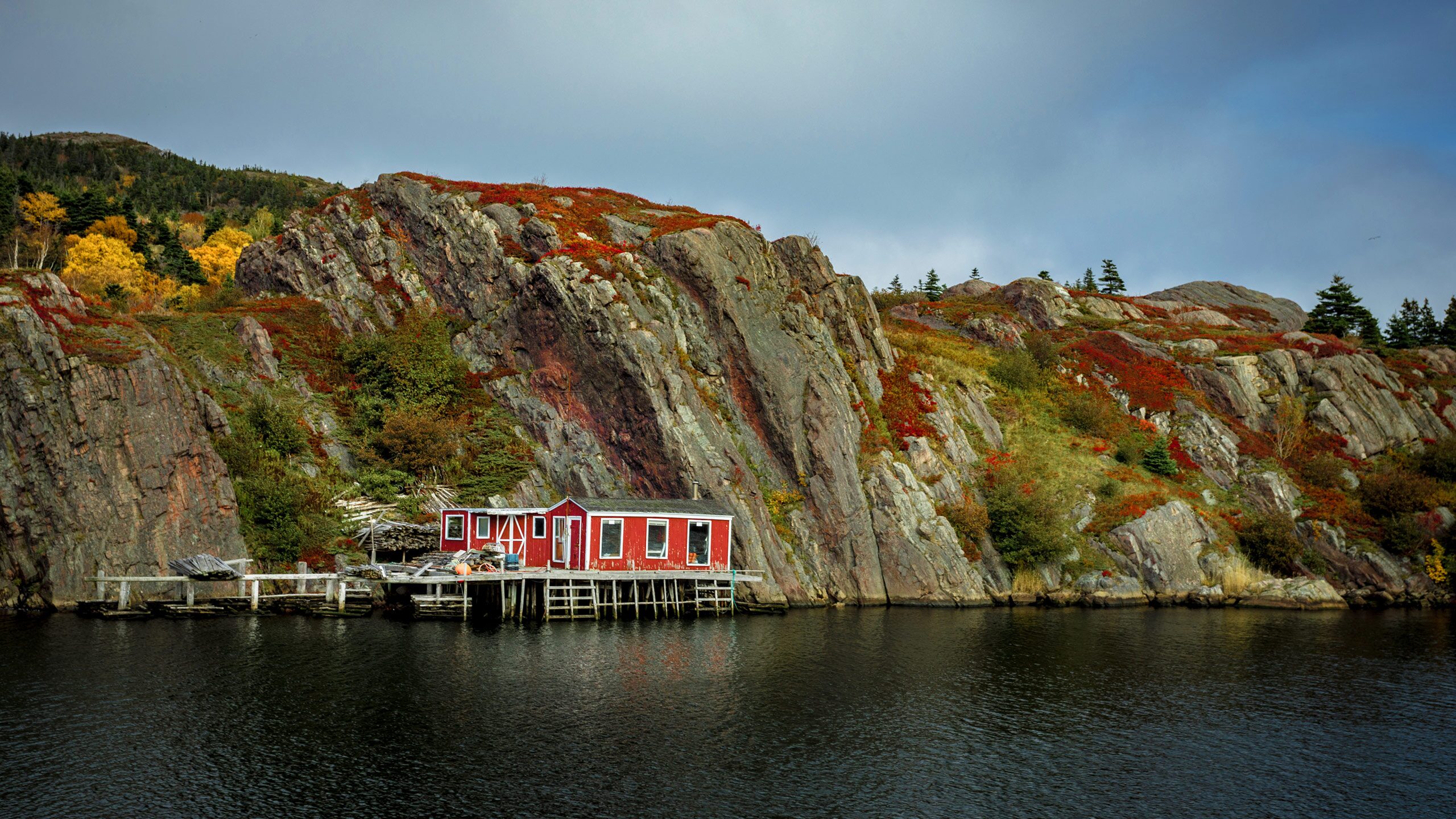 Newfoundland Cruise: Best Cruises to St. John's Newfoundland ...