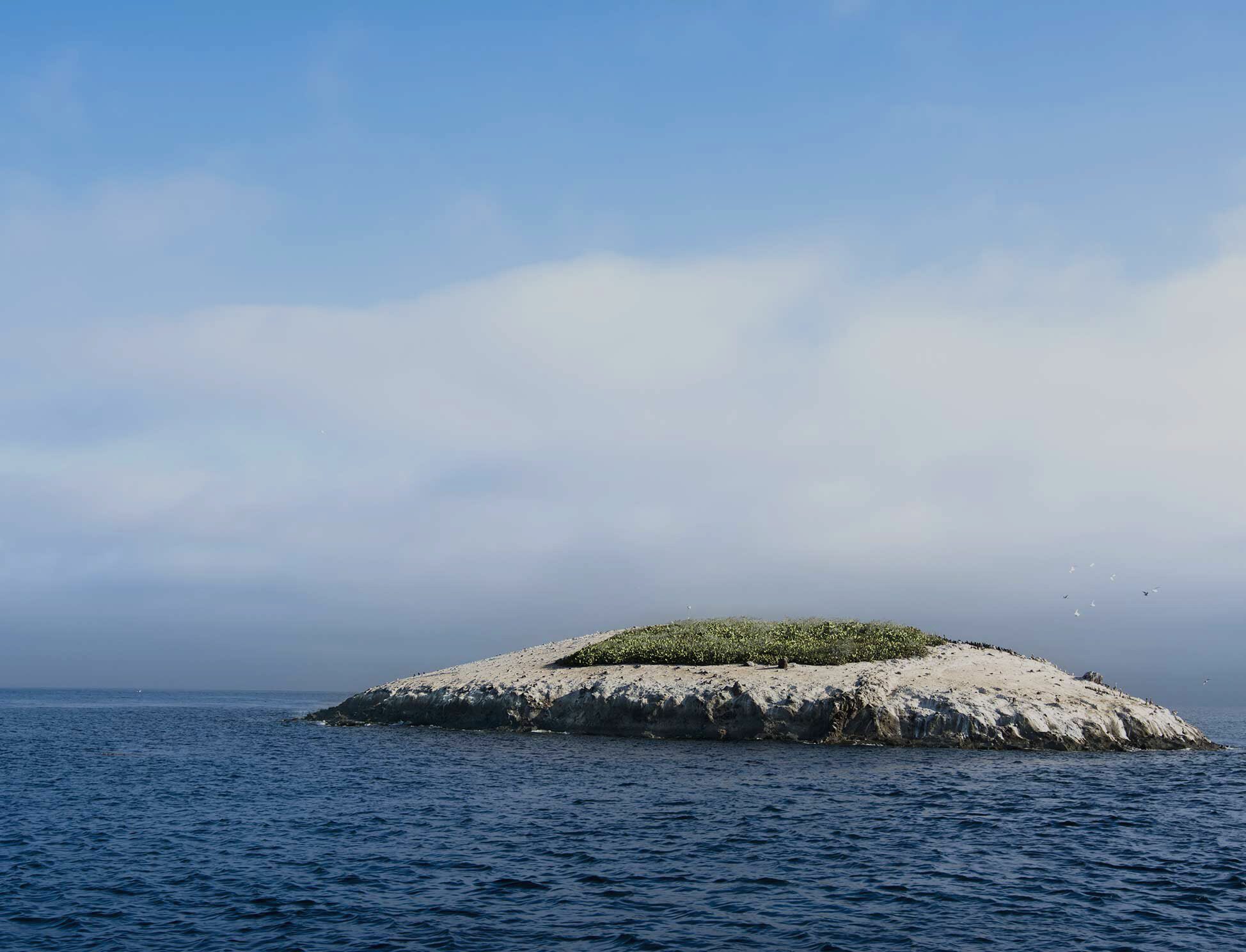 Cruise International Dateline | Australia and New Zealand Cruises ...