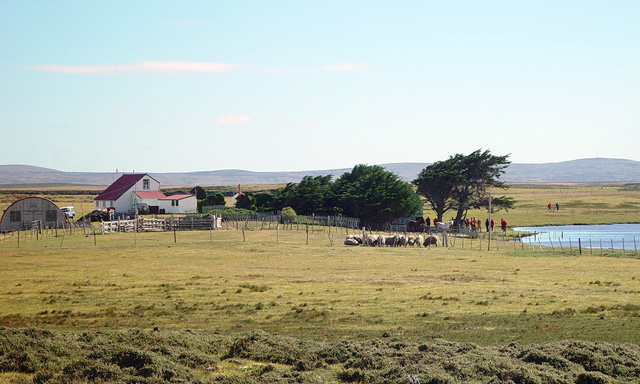 Falkland Island Farms