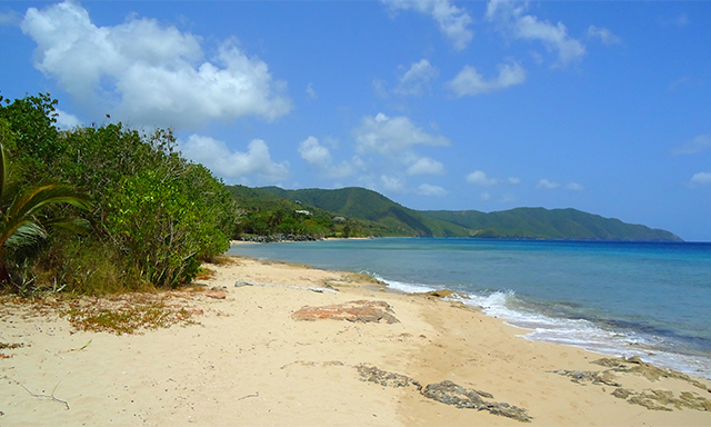 St Croix Usvi Cane Bay